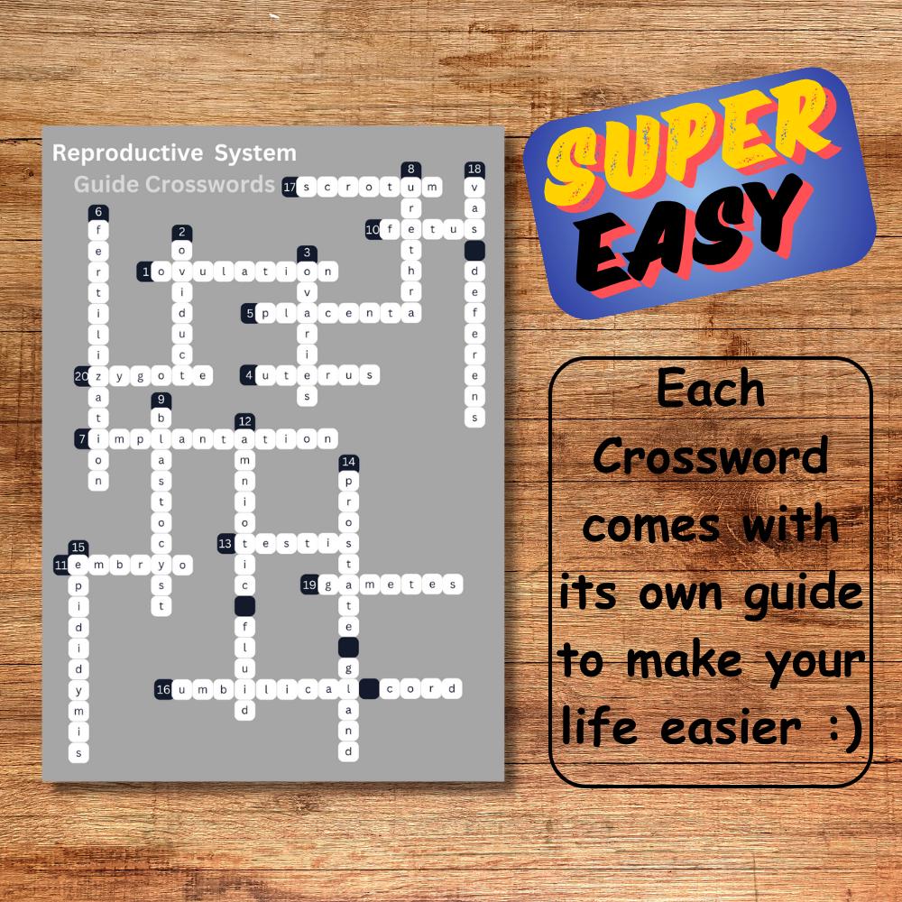 Reproductive System Crossword Puzzle: Biology Vocabulary Worksheet (PDF ...