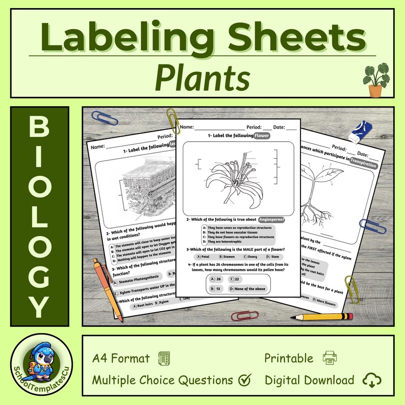 Plants Labeling Worksheet: Biology Education, A4 Printable (canva Edit ...