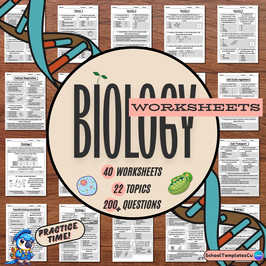 Biology Worksheets: A4 Printable Multiple Choice Questions (PDF ...