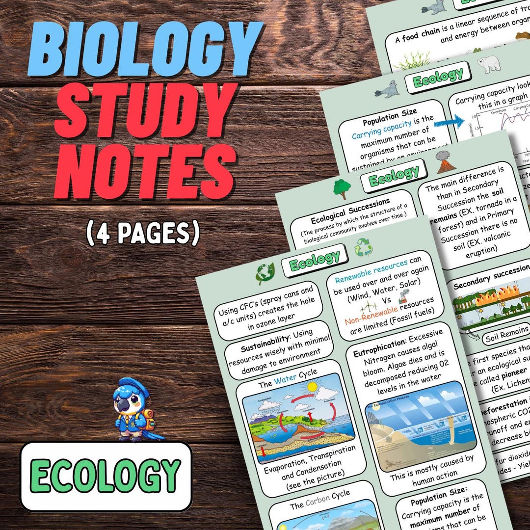 Ecology Biology Study Guide: Food Chain, Population (printable Digital ...