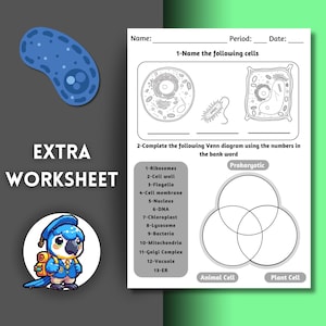 Digital Cell Labeling Sheet- Eukaryotic and Prokaryotic Cell Multiple ...