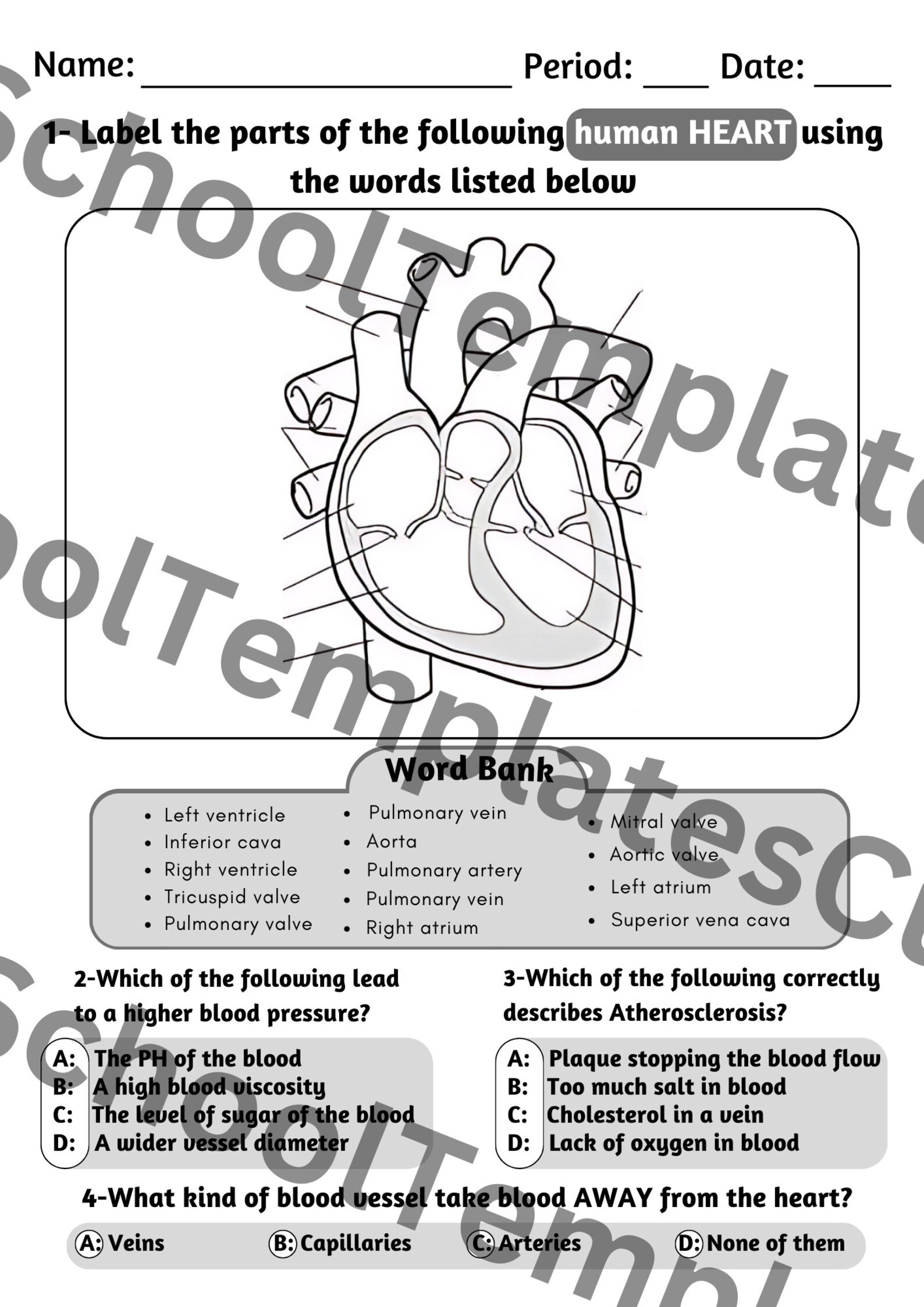 Digital Circulatory System Labeling Sheet - Human Heart A4 Worksheet ...