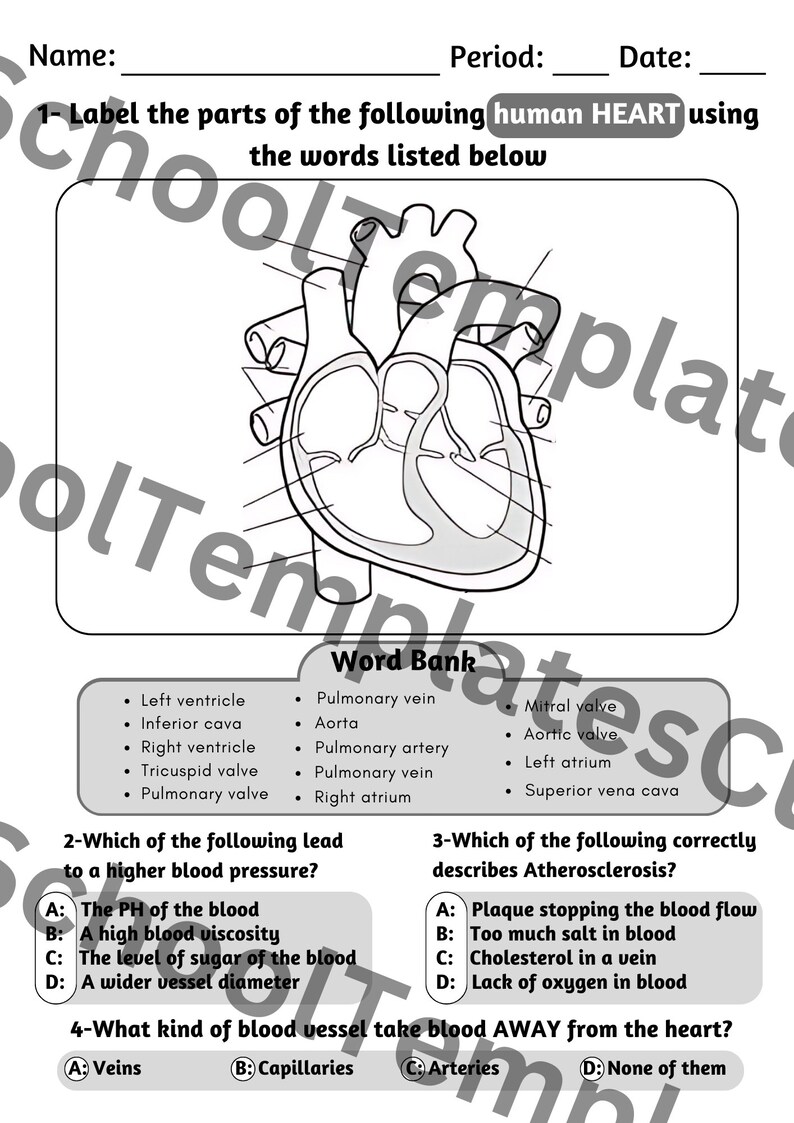 Digital Circulatory System Labeling Sheet - Human Heart A4 Worksheet ...
