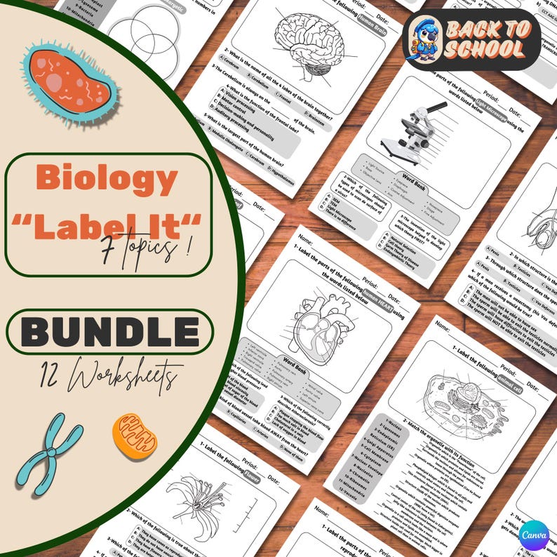 Biology Bundle Labeling Sheet - Science Educational Test Preparation ...