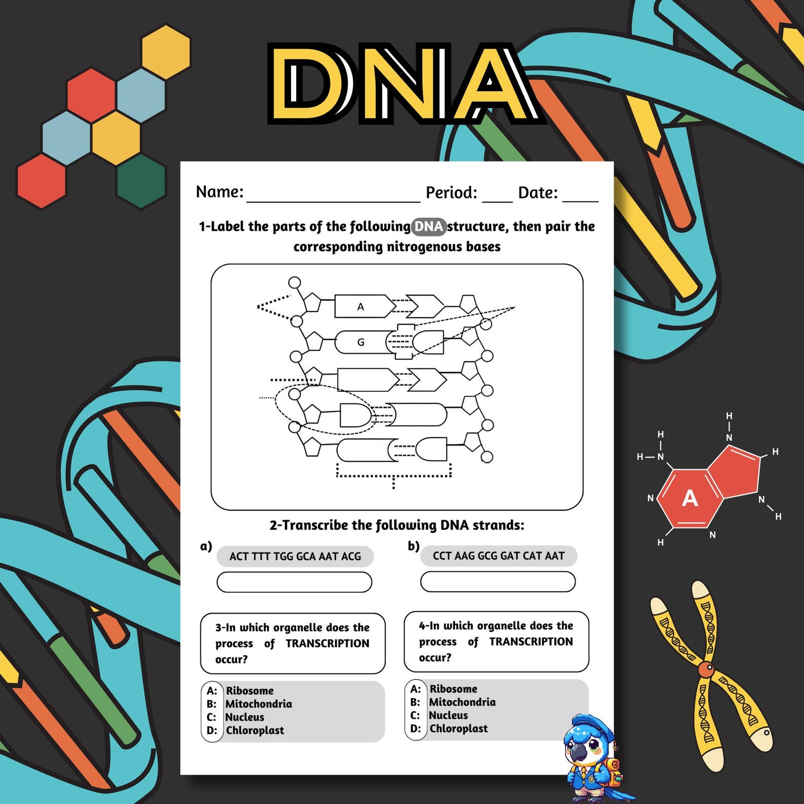Biology Labeling Sheets Bundle: 16 Science Worksheets (digital Download ...