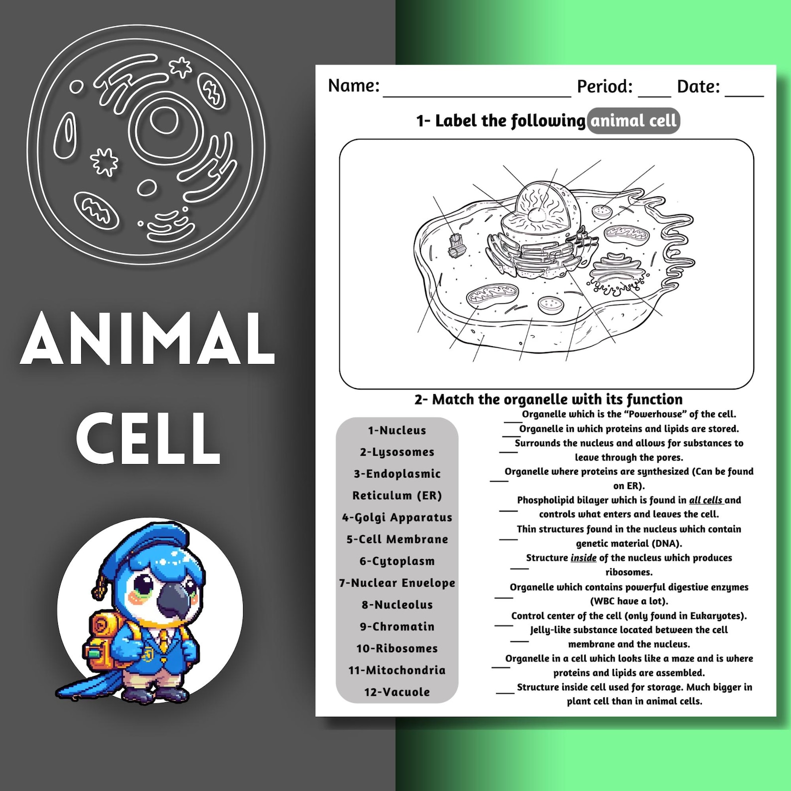 Digital Cell Labeling Sheet- Eukaryotic and Prokaryotic Cell Multiple ...