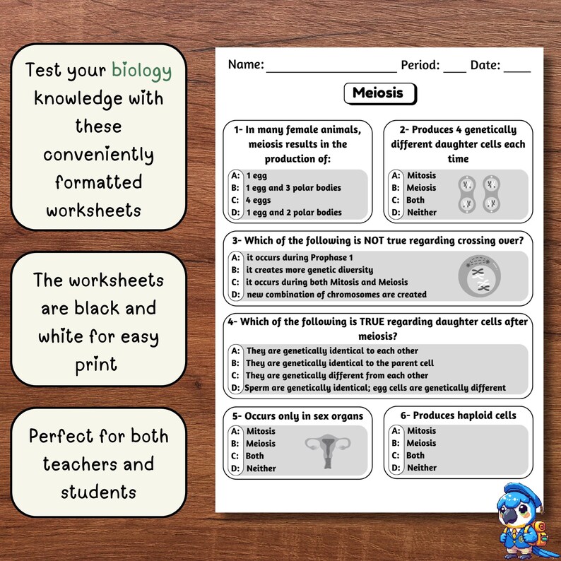 Biology Worksheets: A4 Printable Multiple Choice Questions (PDF ...
