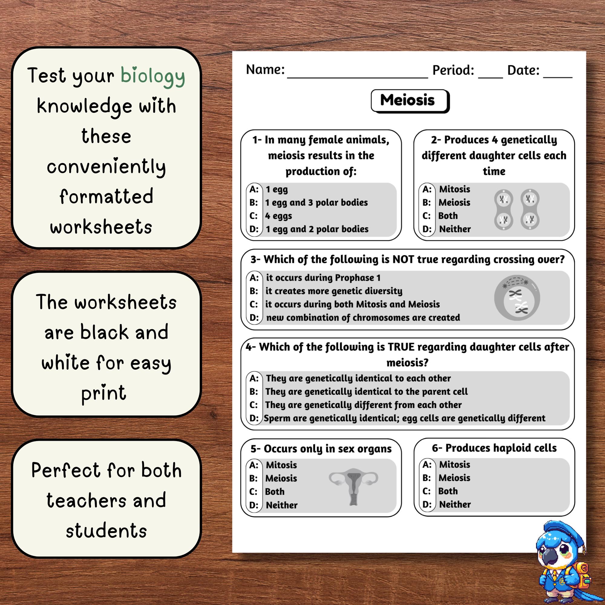 Biology Worksheets: A4 Printable Multiple Choice Questions (PDF ...