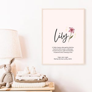 Lily, Baby Name Meaning Wall Art, Personalized Nursery Decor, Name ...