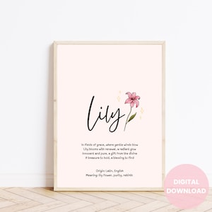 Lily, Baby Name Meaning Wall Art, Personalized Nursery Decor, Name ...