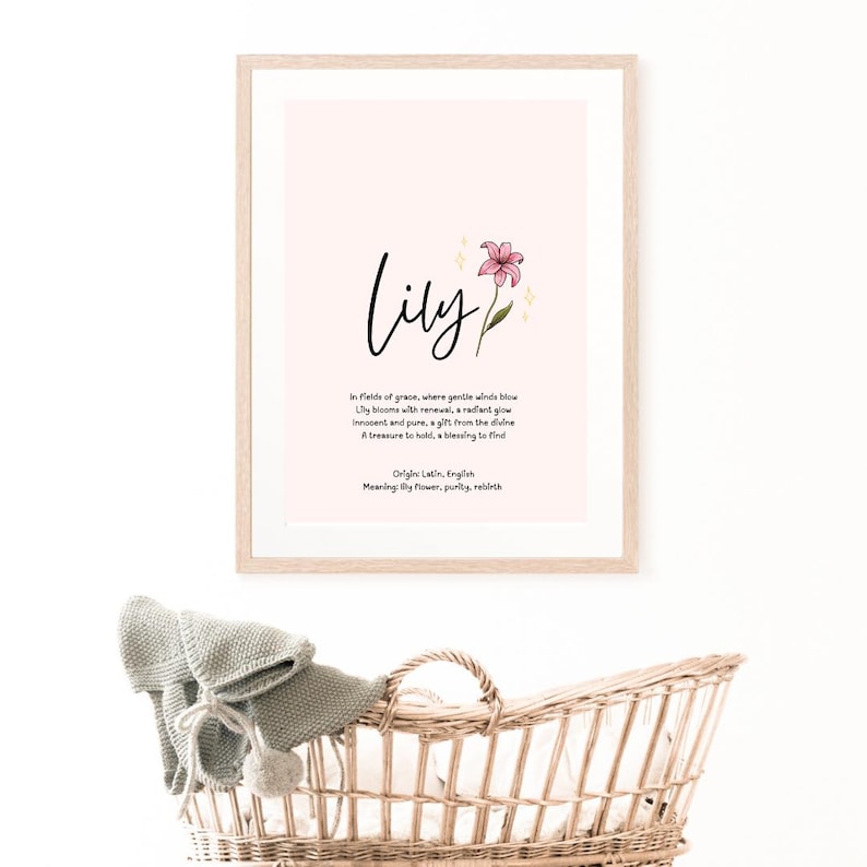 Lily, Baby Name Meaning Wall Art, Personalized Nursery Decor, Name ...