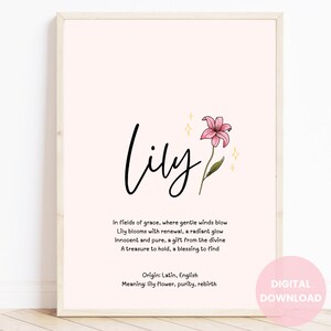 Lily, Baby Name Meaning Wall Art, Personalized Nursery Decor, Name ...
