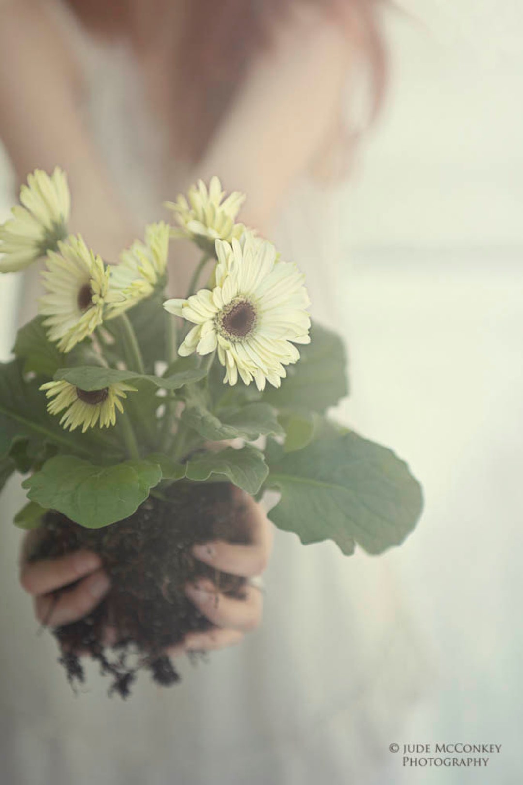 Portrait Woman Girl Flowers Daisy Summer Spring Fine Art Photography ...