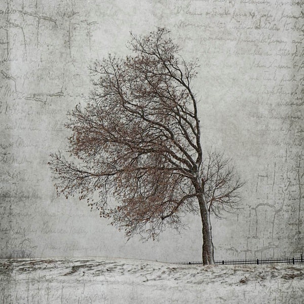 Windblown - Etsy