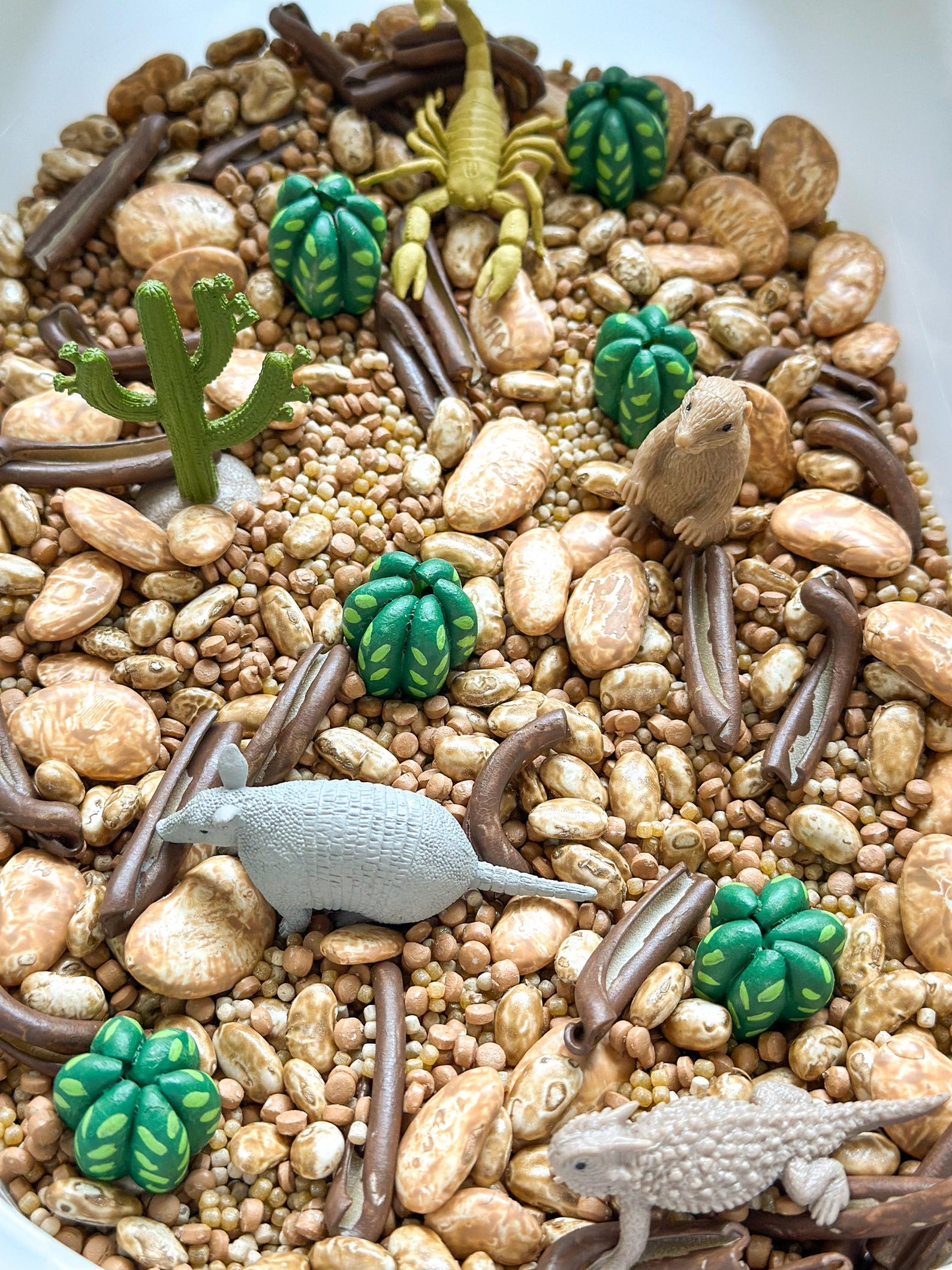 Desert Sensory Bin: Cacti Pasta, Bean Rocks, Summer Activity - Etsy UK