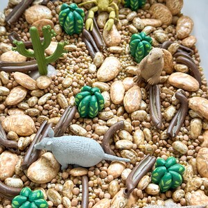 Desert Sensory Bin: Cacti Pasta, Bean Rocks, Summer Activity - Etsy UK