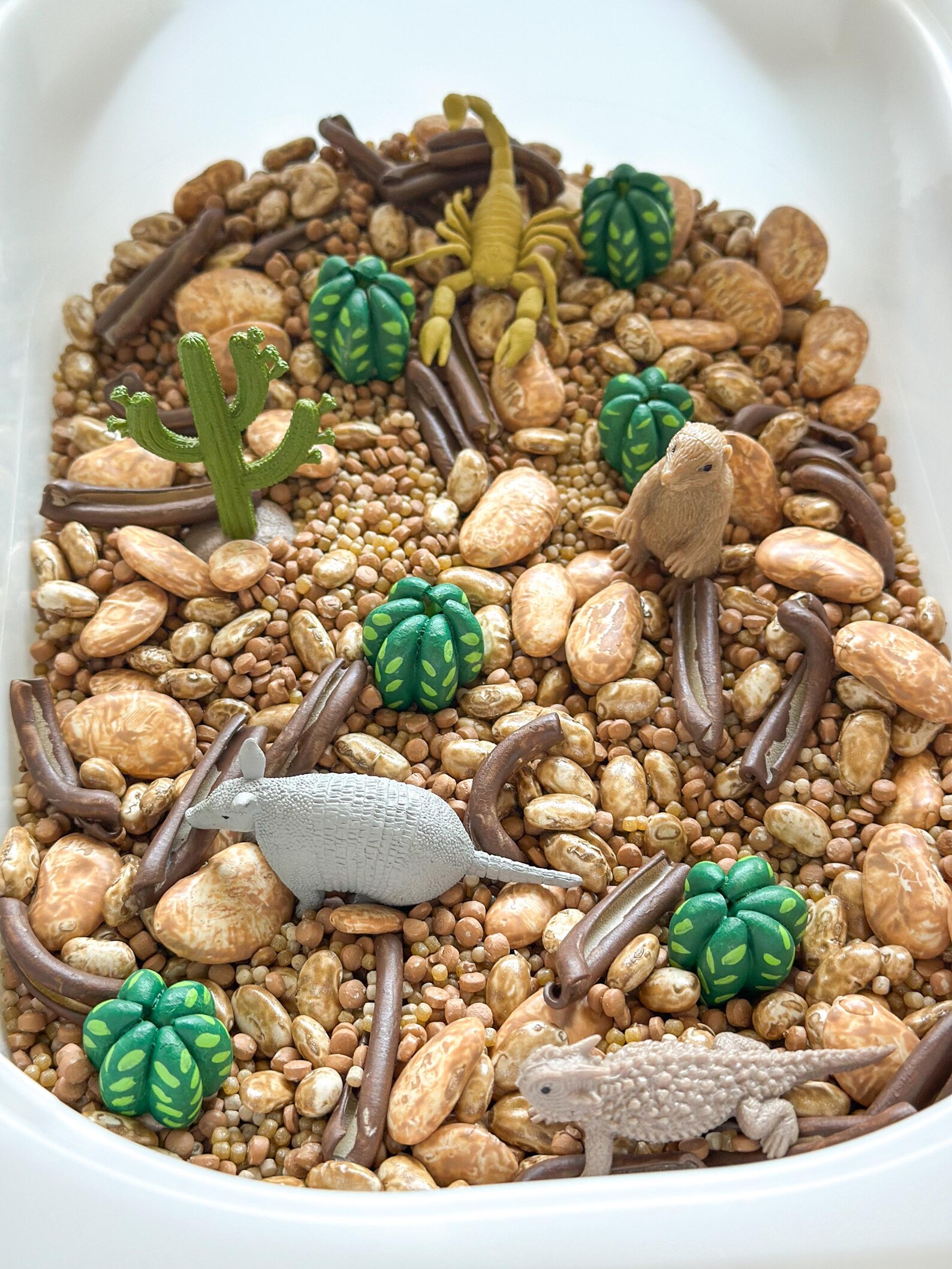 Desert Sensory Bin: Cacti Pasta, Bean Rocks, Summer Activity - Etsy UK