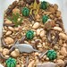Desert Sensory Bin: Cacti Pasta, Bean Rocks, Summer Activity - Etsy UK