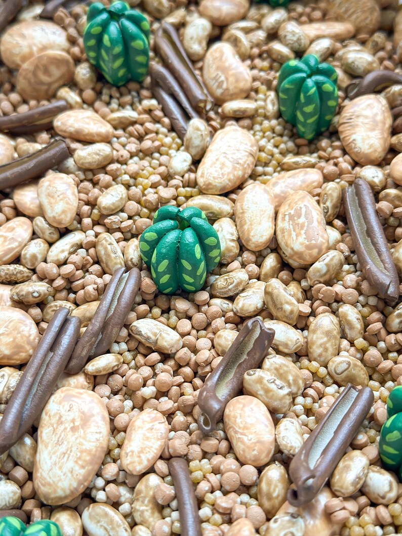 Desert Sensory Bin: Cacti Pasta, Bean Rocks, Summer Activity - Etsy UK