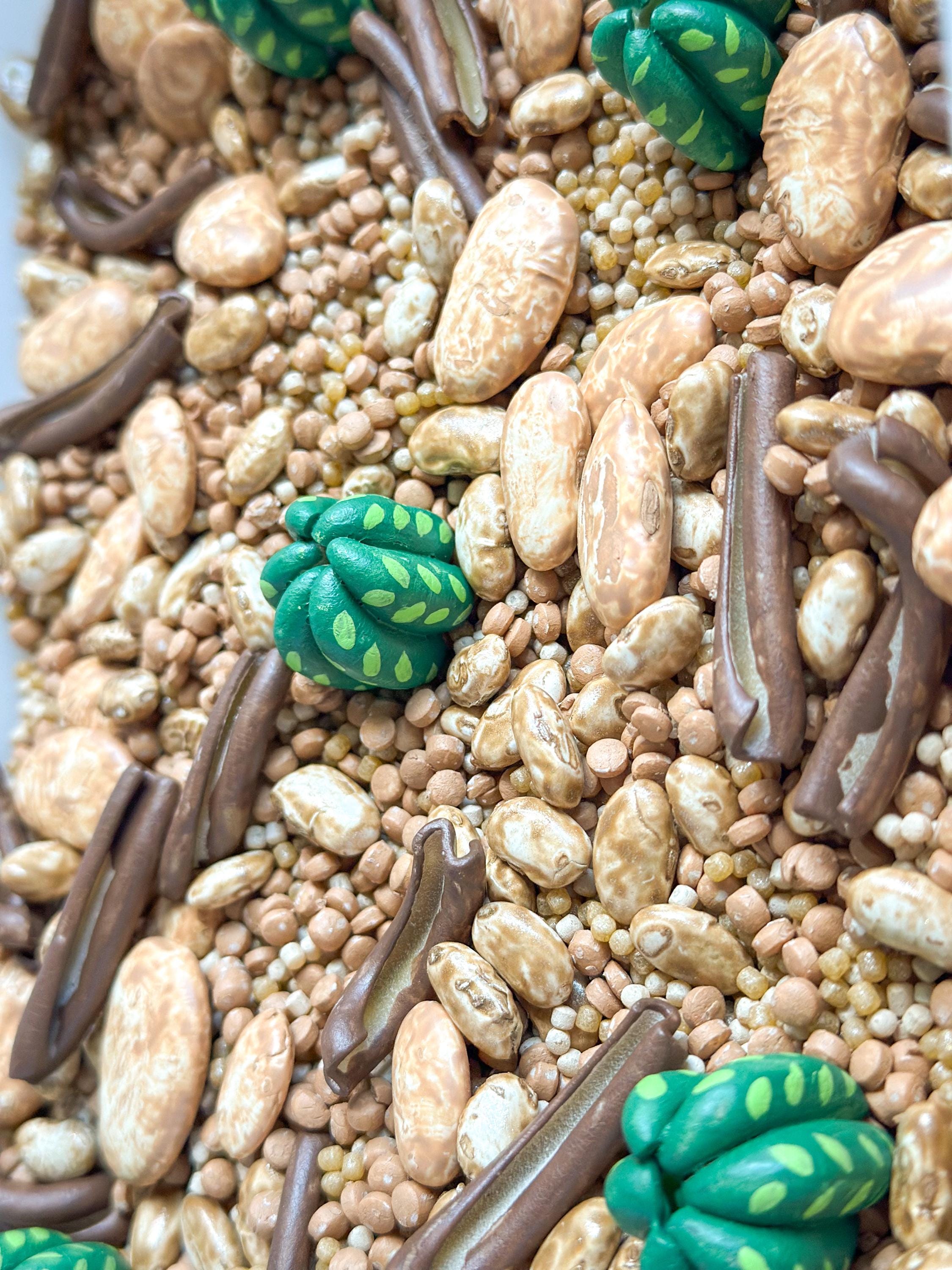 Desert Sensory Bin: Cacti Pasta, Bean Rocks, Summer Activity - Etsy UK