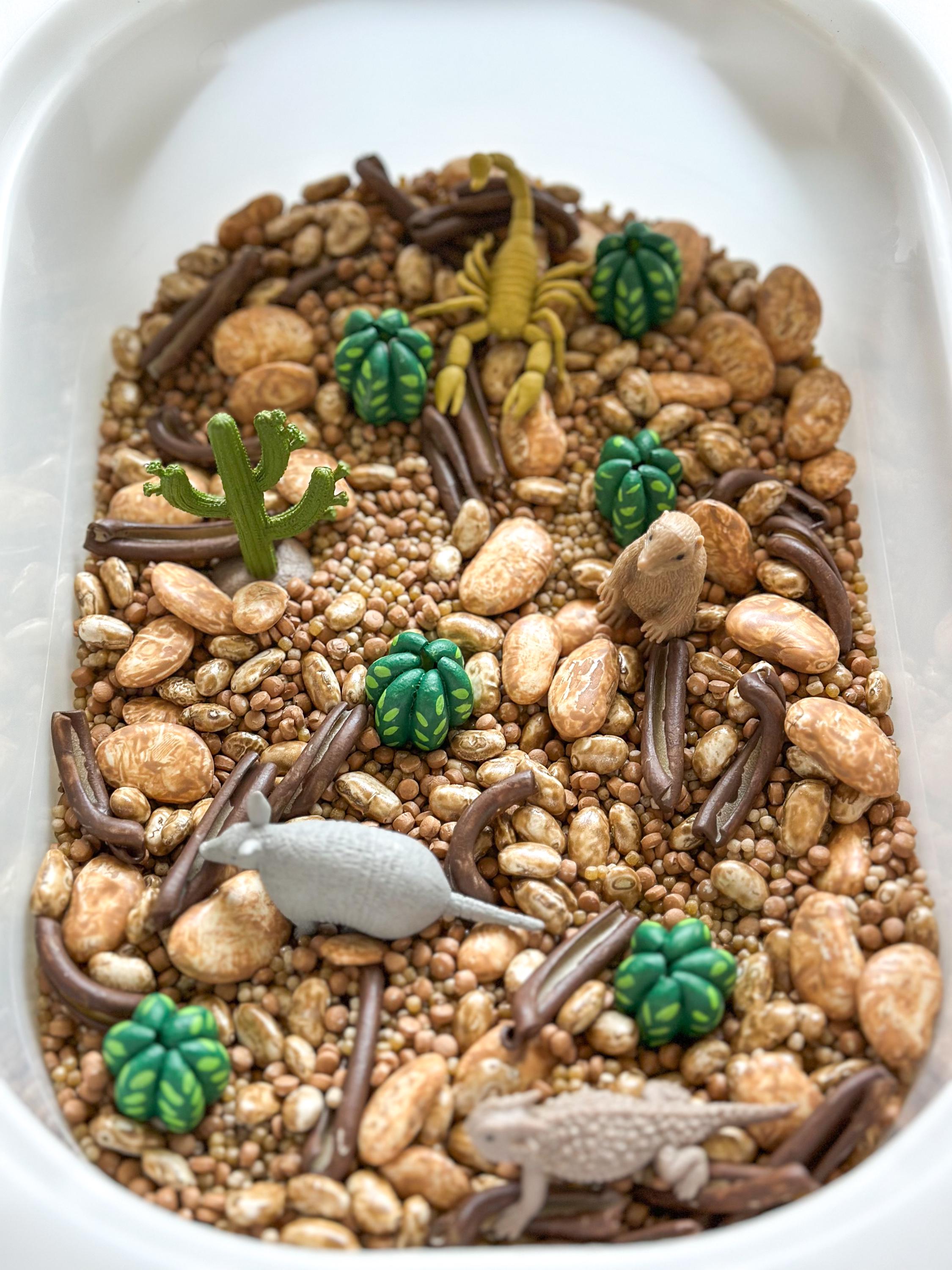 Desert Sensory Bin: Cacti Pasta, Bean Rocks, Summer Activity - Etsy UK