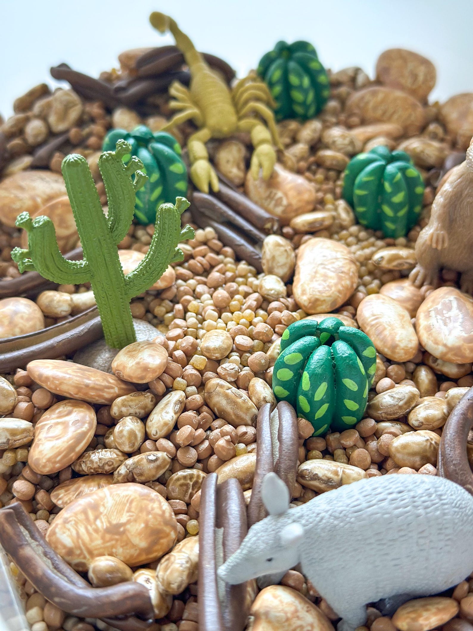 Desert Sensory Bin: Cacti Pasta, Bean Rocks, Summer Activity - Etsy UK