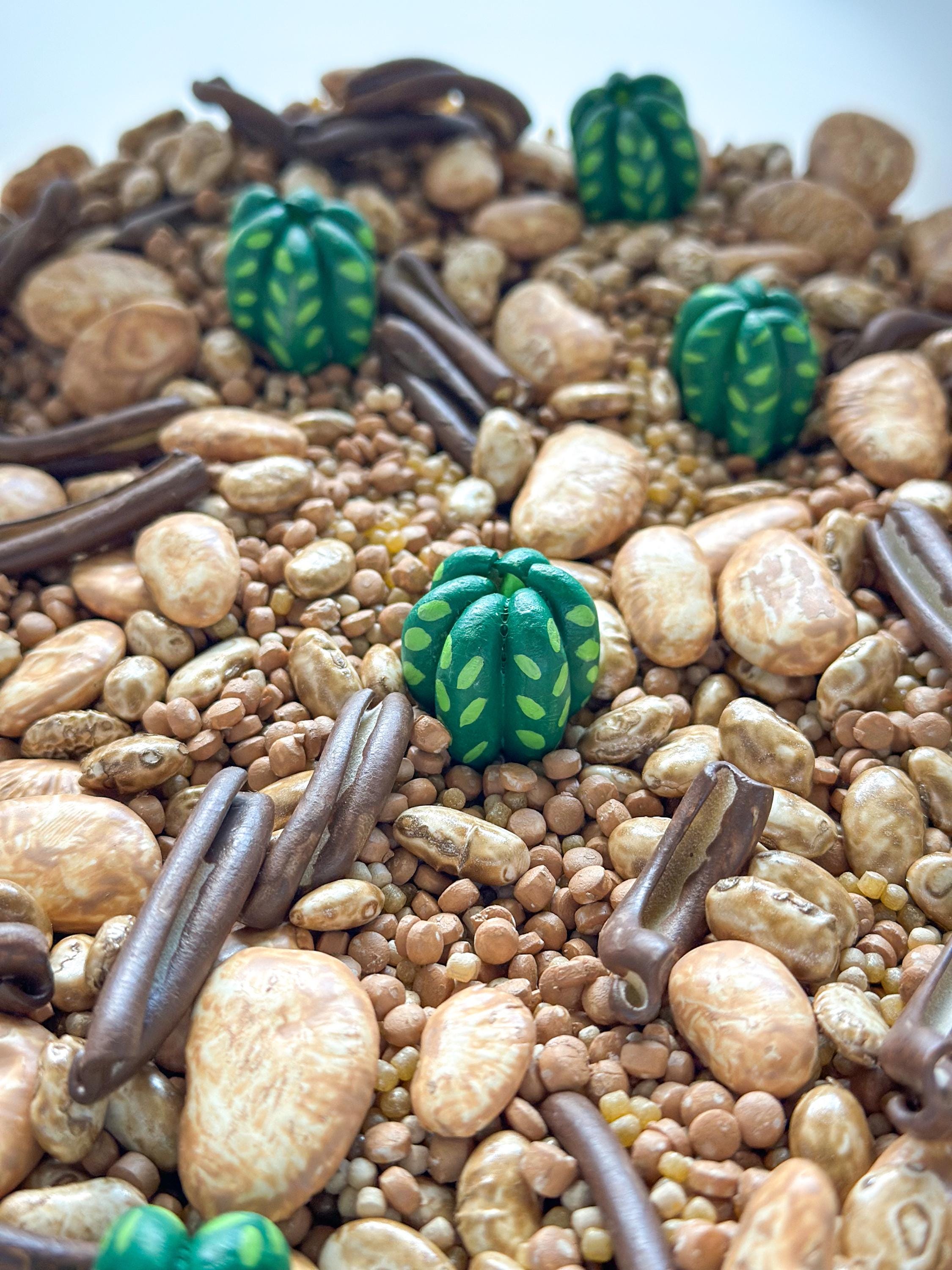 Desert Sensory Bin: Cacti Pasta, Bean Rocks, Summer Activity - Etsy UK