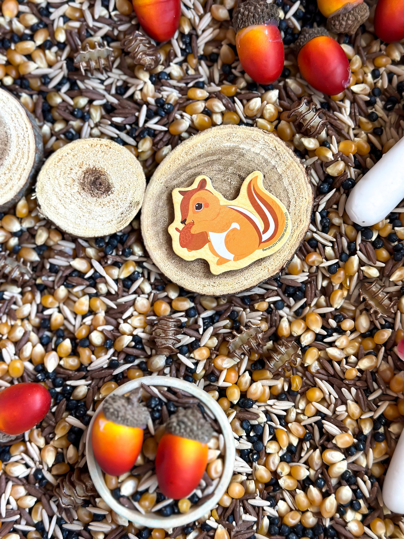 Squirrel Sensory Bin, Fall Sensory Bin, Autumn, Sensory Filler, Colored ...