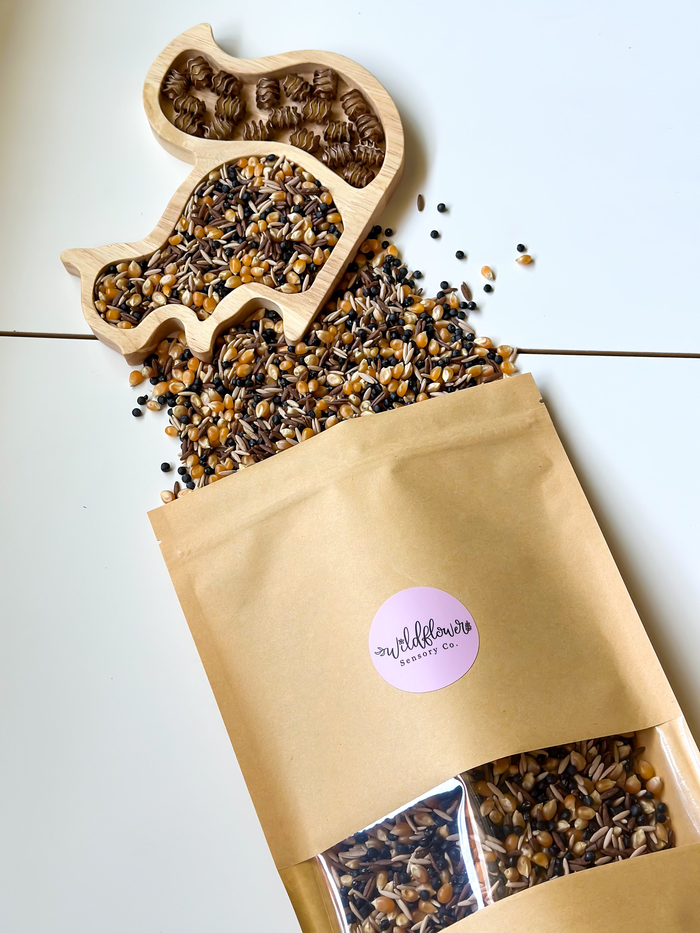 Squirrel Sensory Bin, Fall Sensory Bin, Autumn, Sensory Filler, Colored ...