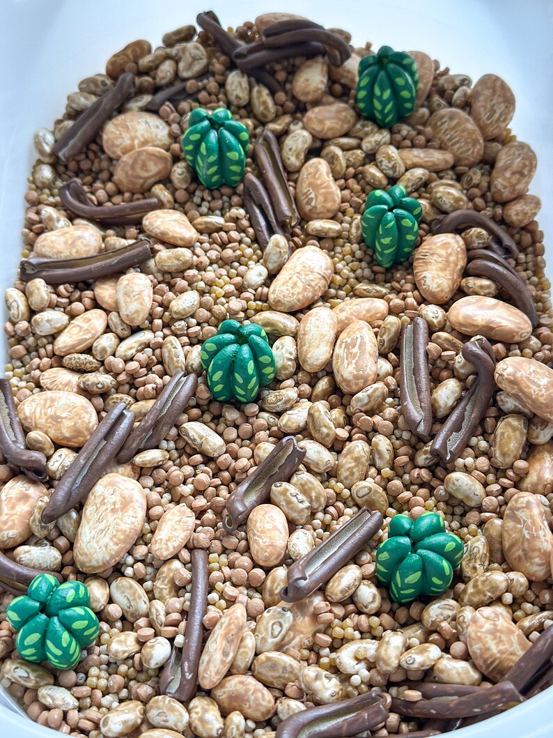 Desert Sensory Bin: Cacti Pasta, Bean Rocks, Summer Activity - Etsy UK
