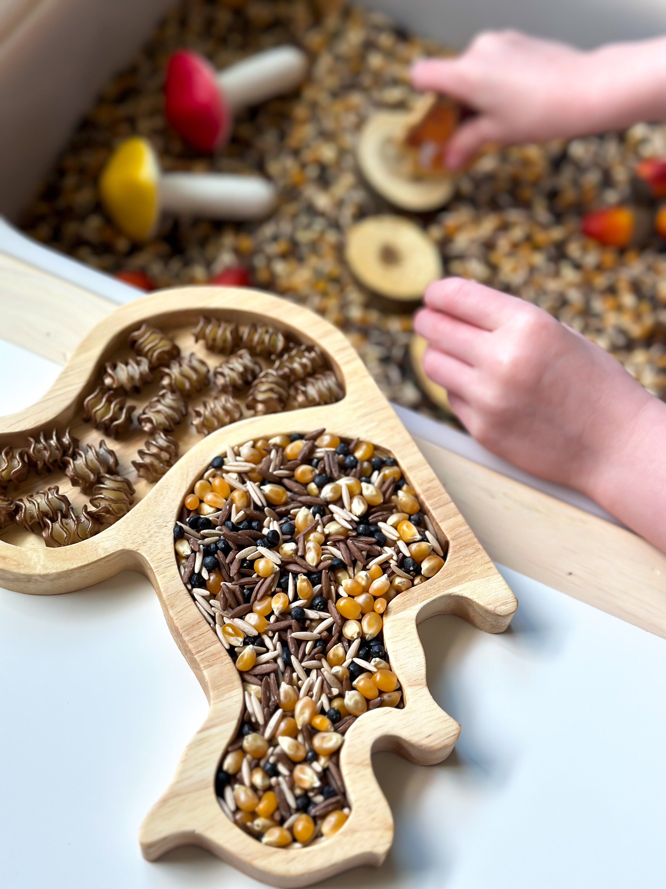 Squirrel Sensory Bin, Fall Sensory Bin, Autumn, Sensory Filler, Colored ...