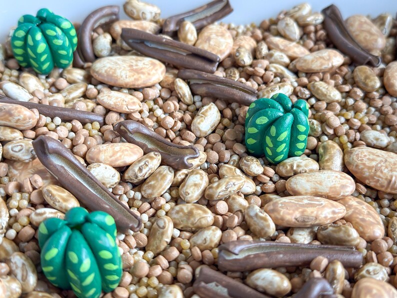 Desert Sensory Bin: Cacti Pasta, Bean Rocks, Summer Activity - Etsy UK