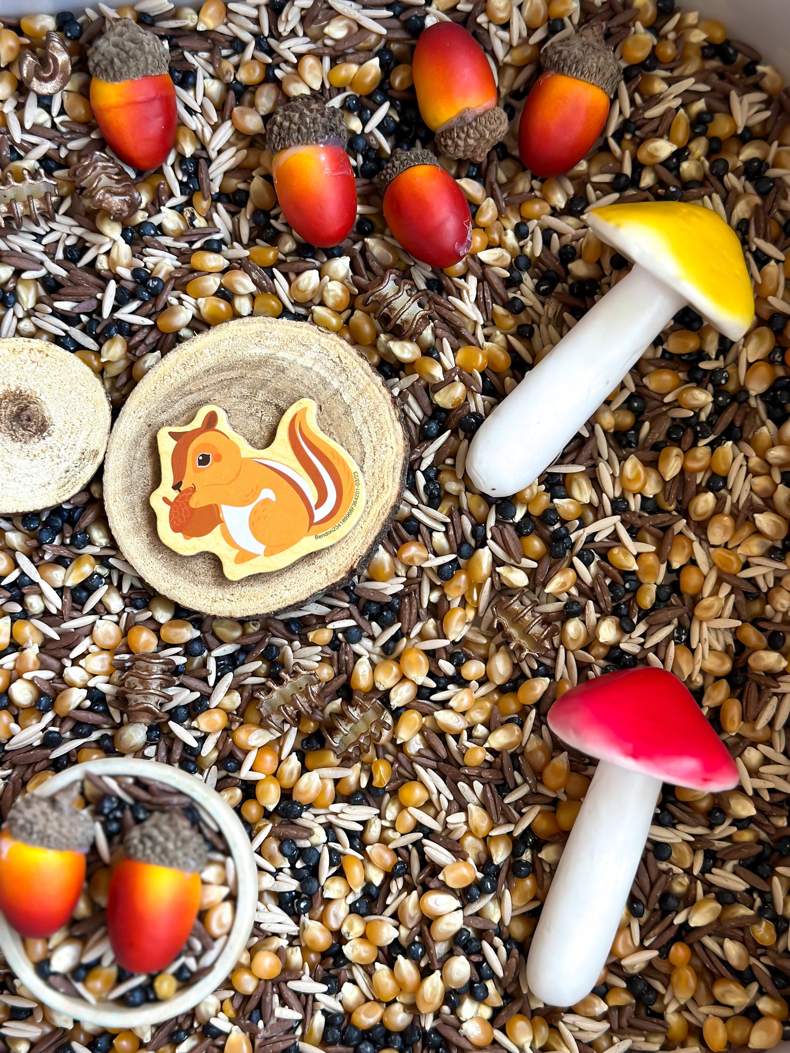 Squirrel Sensory Bin, Fall Sensory Bin, Autumn, Sensory Filler, Colored ...