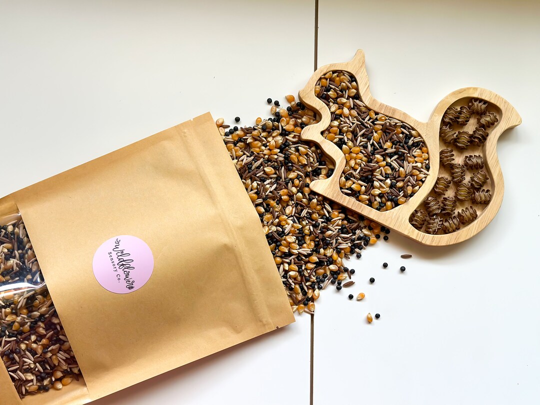 Squirrel Sensory Bin, Fall Sensory Bin, Autumn, Sensory Filler, Colored ...