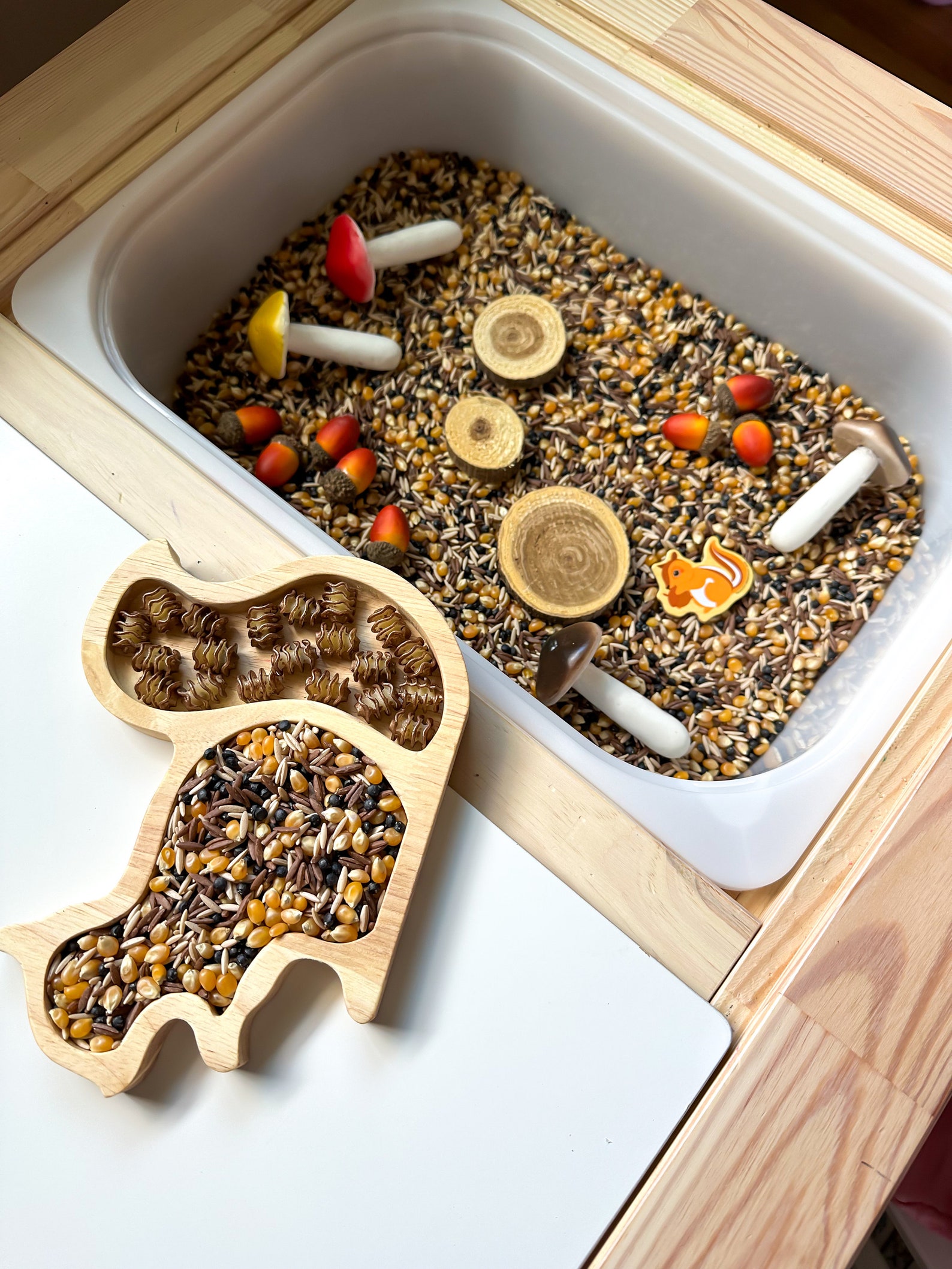 Squirrel Sensory Bin, Fall Sensory Bin, Autumn, Sensory Filler, Colored ...