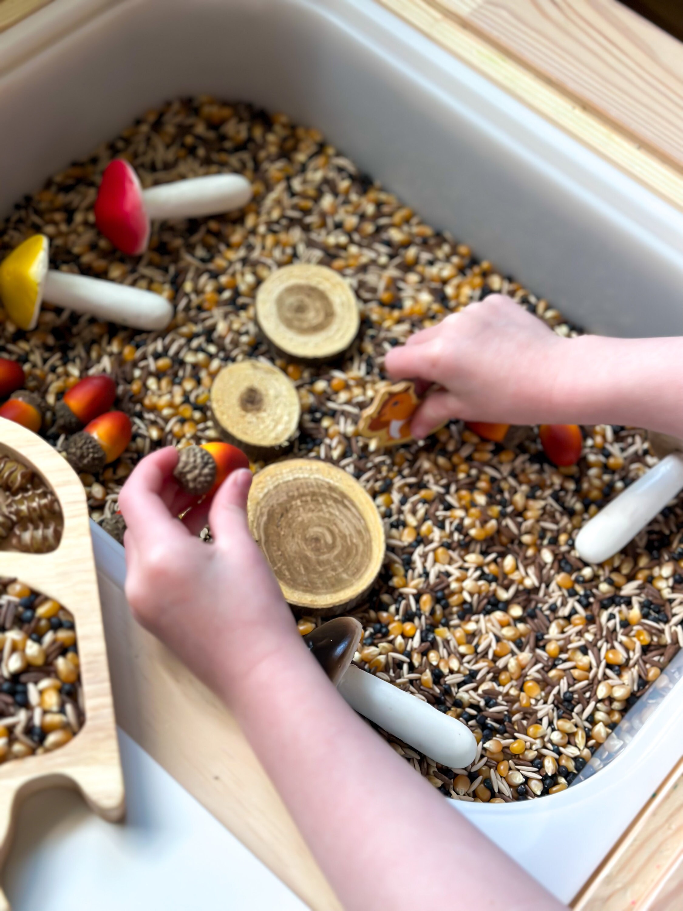 Squirrel Sensory Bin, Fall Sensory Bin, Autumn, Sensory Filler, Colored ...