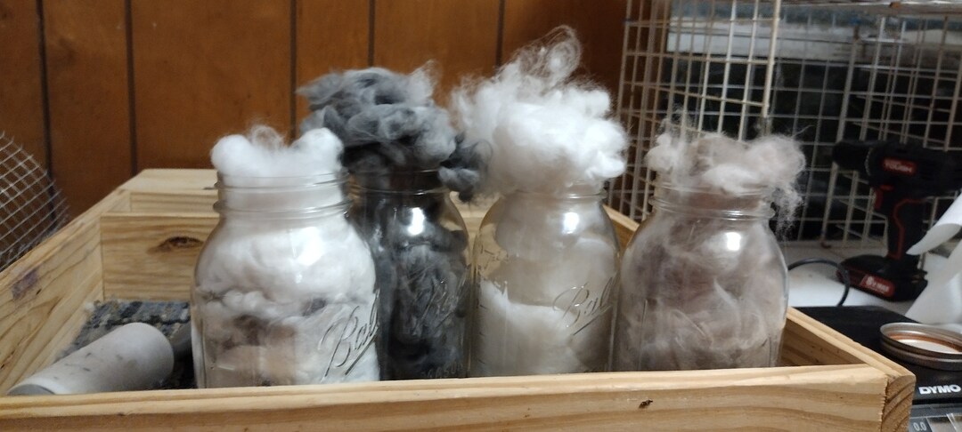 Jersey Wooly Rabbit Fur - Etsy