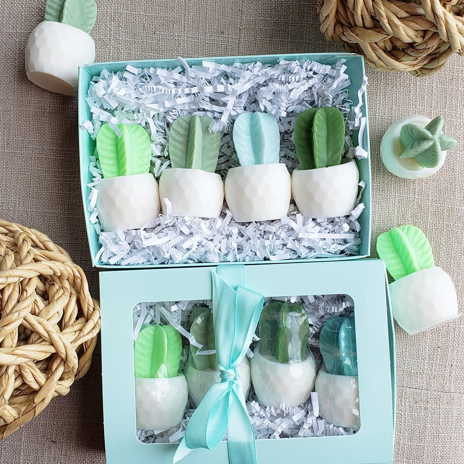 Cactus Gift Box / Handmade Cactus Soap Gift Set / Plant Lover - Etsy