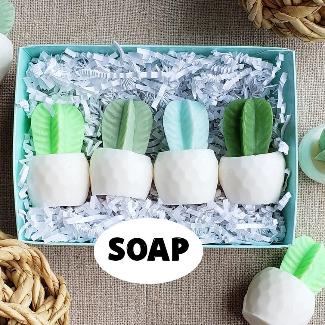 Soap Cactus Decor / Plant Gift / Cactus Gift Box / Cactus Decor/ Unique ...