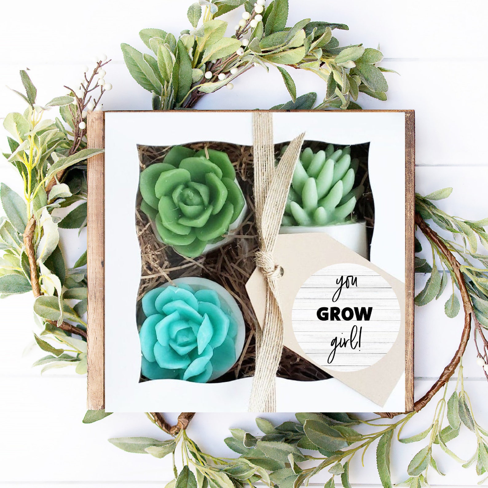 Best Friend Birthday Gift/ Succulent Gift / You Grow Girl Gift - Etsy