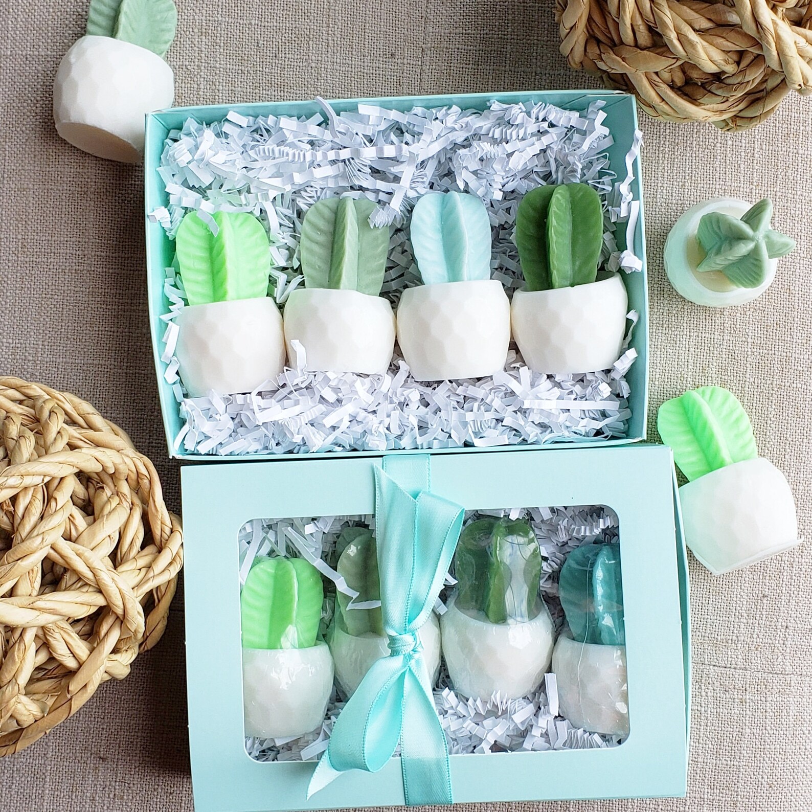 Cactus Gift Box / Handmade Cactus Soap Gift Set / Plant Lover - Etsy