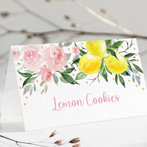 Lemonade Cards & Gifts Birthday Sign Sunshine Lemonade and Fun | Etsy