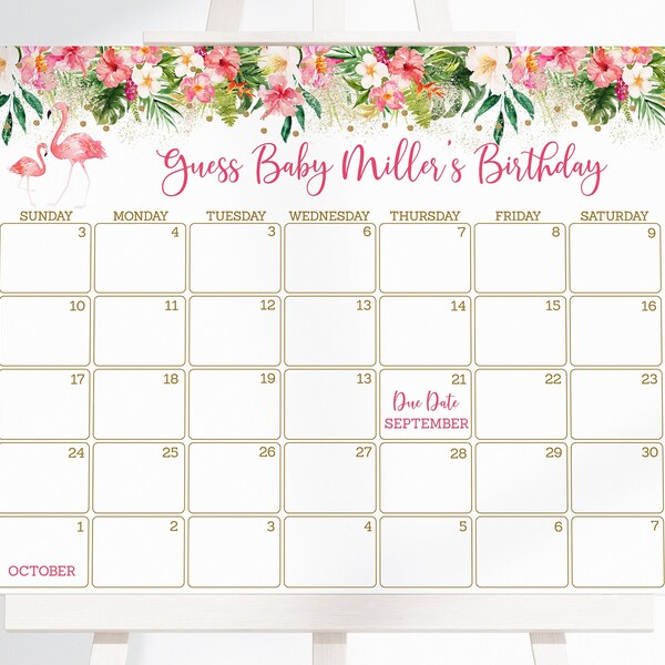 Flamingo Baby Shower - Etsy