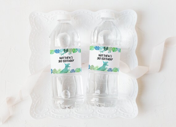 Editable Three Rex Water Bottle Label Dinosaur Birthday T-Rex Birthday ...