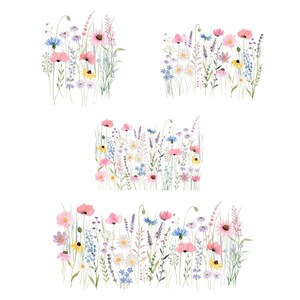 Wildflower Watercolor Clipart, Delicate Meadow Wildflowers, Spring Wild ...
