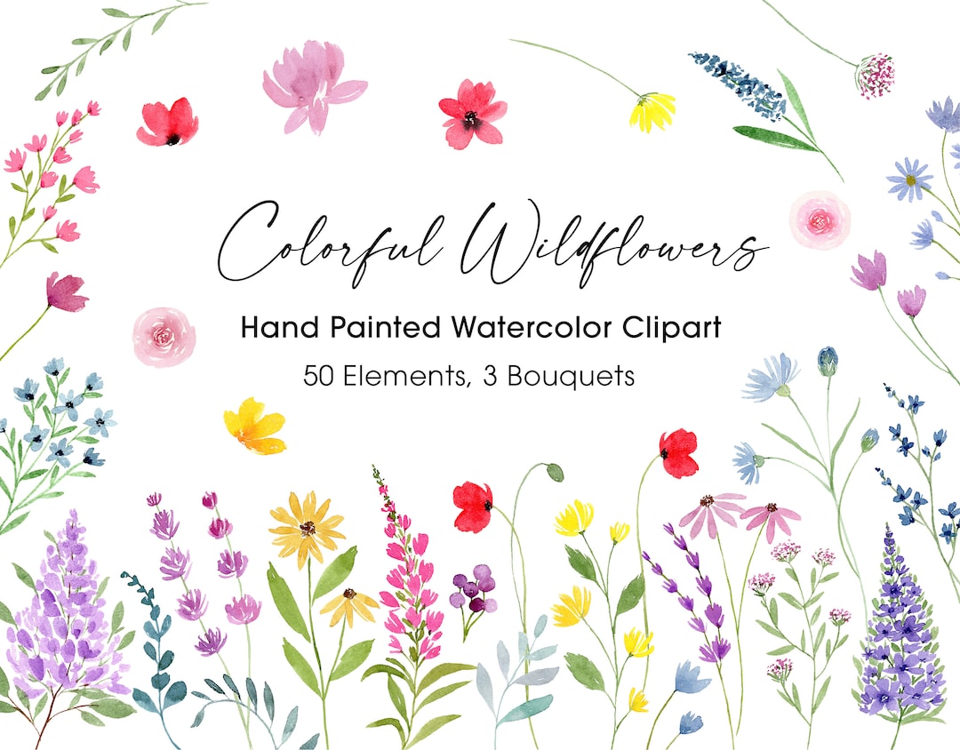 Wildflower Watercolor Clipart, Colorful Wildflowers, Watercolor Flowers ...