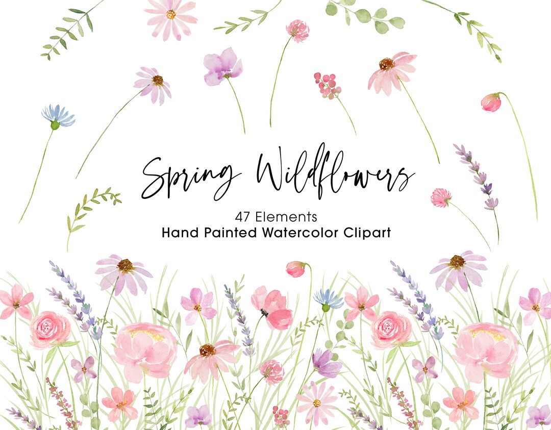 Wildflower Watercolor Clipart, Delicate Spring Wildflowers, Wildflower ...