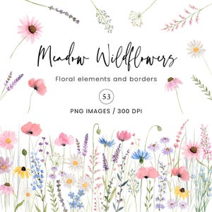 Wildflower Watercolor Clipart, Delicate Meadow Wildflowers, Spring Wild ...