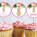 Editable Pineapple Birthday Cupcake Toppers Sweet as A - Etsy