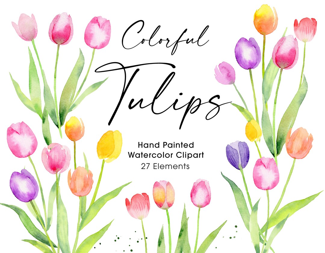 Watercolor Tulip Clipart, Spring Tulips Clipart, Colorful Tulips ...